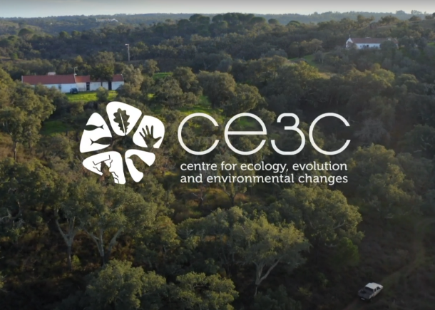 Descobrir o CE3C - o nosso vídeo institucional